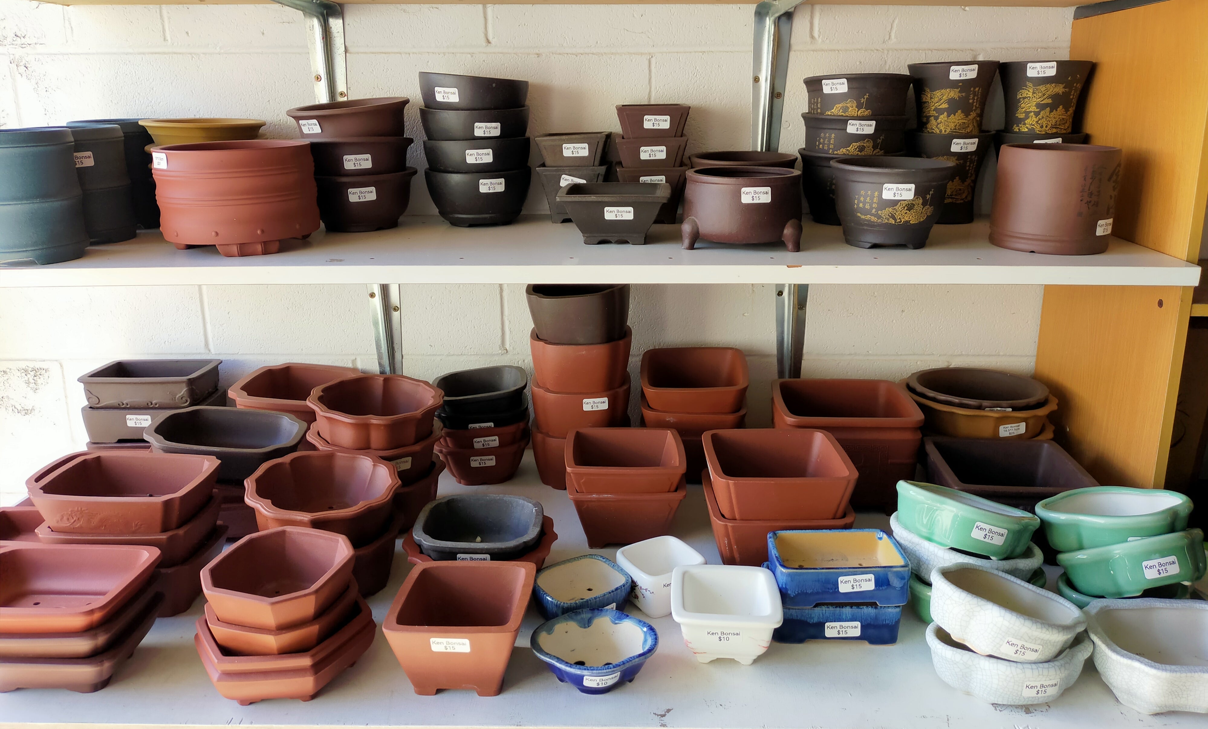 Bonsai pots - Small pots / Shohin pots – Ken Bonsai